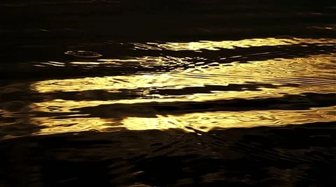 Golden water light. Loop | Stock Video | Pond5