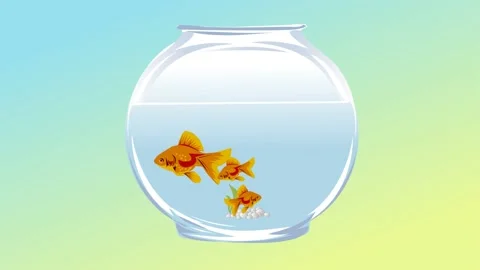 goldfish in bowl background and 2d anim... | Stock Video | Pond5