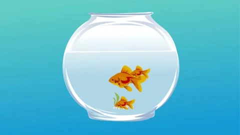 goldfish in bowl background and 2d anim... | Stock Video | Pond5
