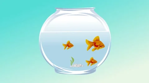 goldfish in bowl background and 2d anim... | Stock Video | Pond5