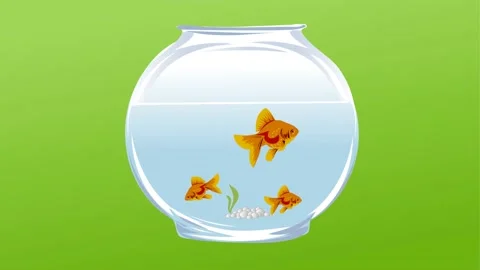 goldfish in bowl background and 2d anim... | Stock Video | Pond5
