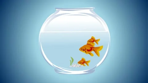 goldfish in bowl background and 2d anim... | Stock Video | Pond5