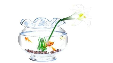 goldfish in bowl background and 2d anim... | Stock Video | Pond5