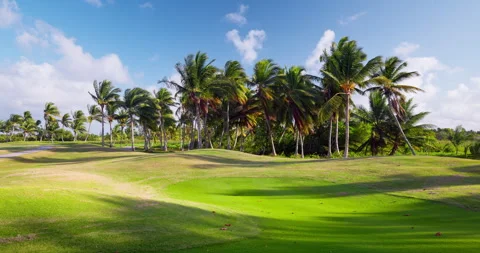 Golf course landscape on a sunny day. Go... | Stock Video | Pond5