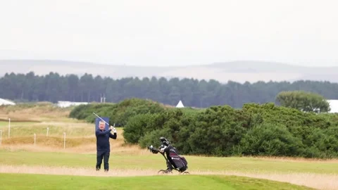 Tree Swing St Stock Videos – Royalty-Free HD & 4K Videos