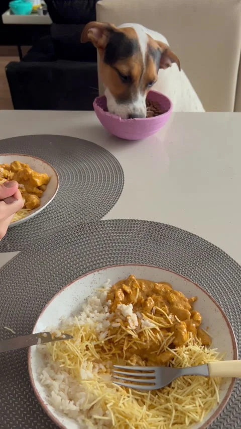 Boy Eats Good Stock Videos – Royalty-Free HD & 4K Videos