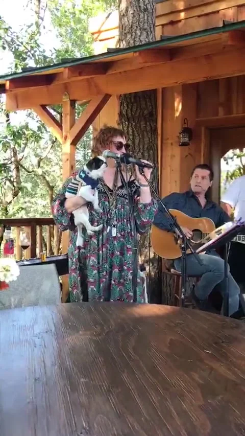 Good Boy Sonuds Stock Videos – Royalty-Free HD & 4K Videos | Pond5