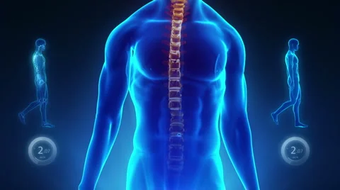 Spine Posture Stock Footage ~ Royalty Free Stock Videos | Pond5