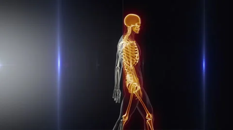 Good Posture Stock Video Footage | Royalty Free Good Posture Videos | Pond5