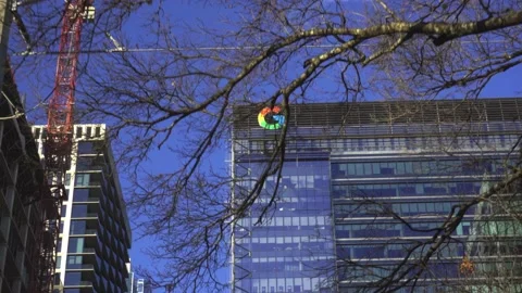 Documentaries Google Stock Videos – Royalty-Free HD & 4K Videos