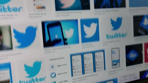 Gogole Image Search Stock Videos – Royalty-Free HD & 4K Videos