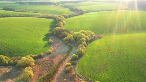 Uh In On Stock Videos – Royalty-Free HD & 4K Videos