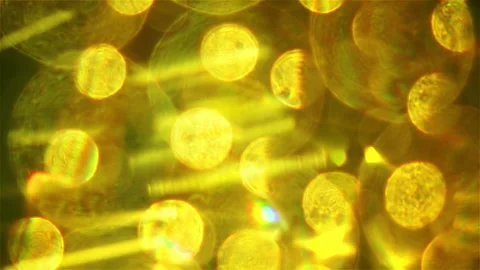 Gorgeous golden moving sparkle backgroun... | Stock Video | Pond5