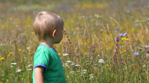 Gorgeous Baby Boy Stock Videos – Royalty-Free HD & 4K Videos