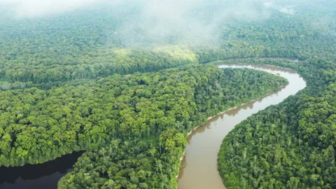 Gorgeous reveal of the Rupununi River th... | Stock Video | Pond5