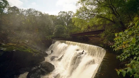 Gorgeous Waterfall Scene in the Forest n... | Stock Video | Pond5