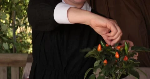 Goth witch put spicy pepper pod into gla... | Stock Video | Pond5