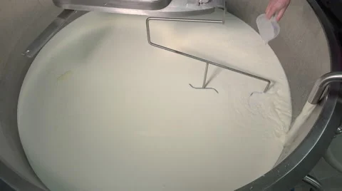 Gouda cheese making from raw milk | Stock Video | Pond5