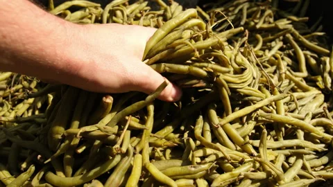 Low Quality Stock Video Footage | Royalty Free Low Quality Videos | Pond5