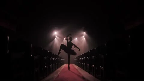 Graceful hard-working ballerina dancing ... | Stock Video | Pond5