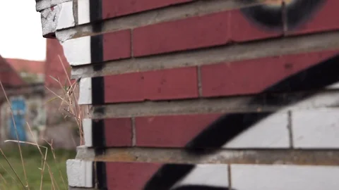 Graffiti Chicken Stock Videos – Royalty-Free HD & 4K Videos