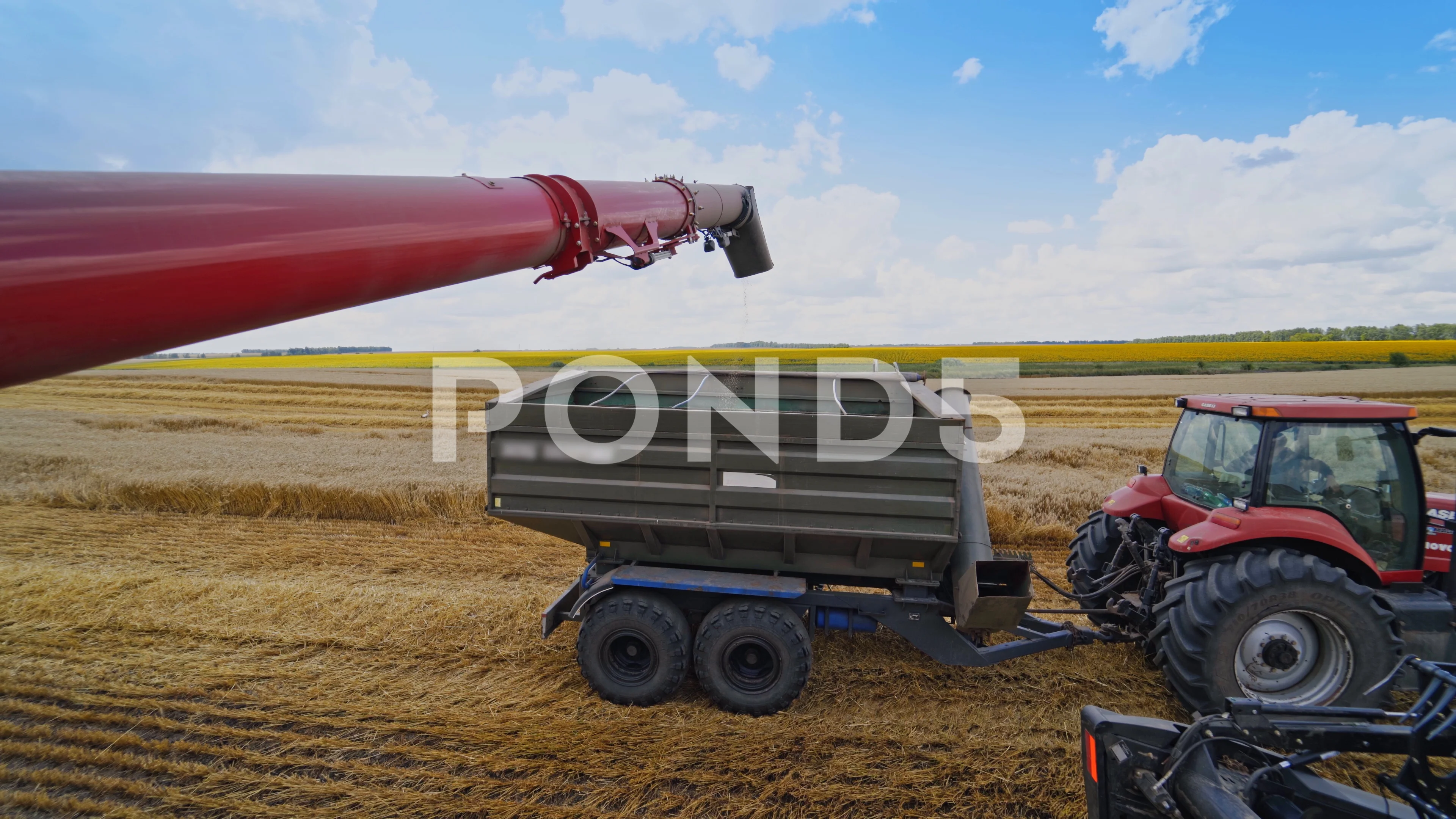 Tractor Trailer Grain