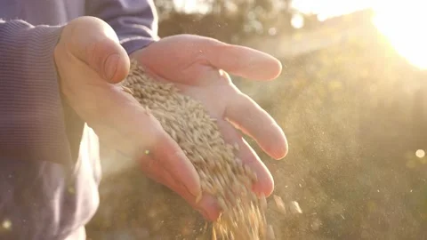 Food Shortage Stock Video Footage | Royalty Free Food Shortage Videos ...