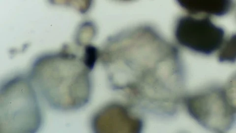 the grains of river sand with beach unde... | Stock Video | Pond5