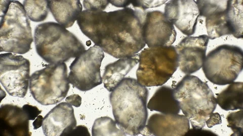 the grains of river sand with beach unde... | Stock Video | Pond5