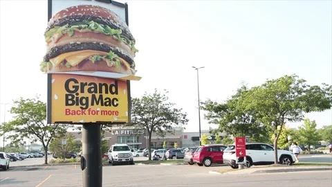 Big Back Immages Stock Videos – Royalty-Free HD & 4K Videos | Pond5