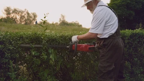 Grandfather keeping hedge clipper and wo... | Stock Video | Pond5