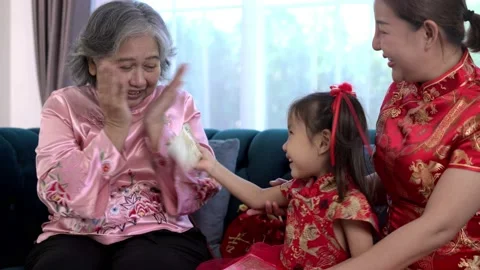 Chinese Grandma Stock Videos – Royalty-Free HD &amp; 4K Videos