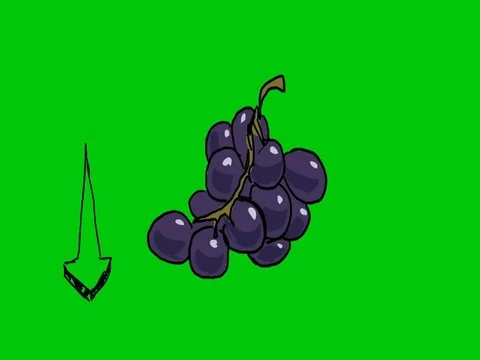 Grape - Hand Drawn - Green Screen - SD | Stock Video | Pond5