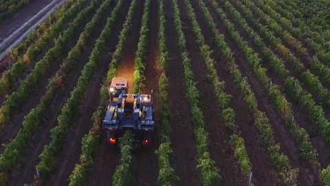 grape harvester combine machine night ti... | Stock Video | Pond5