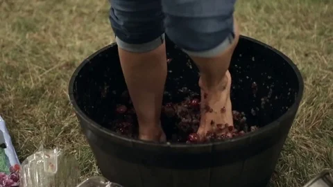 Grape Stomp Lady Stock Video Footage | Royalty Free Grape Stomp Lady ...