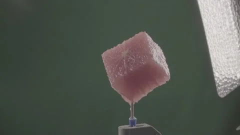 Grapefruit rotating with loop on green s... | Stock Video | Pond5