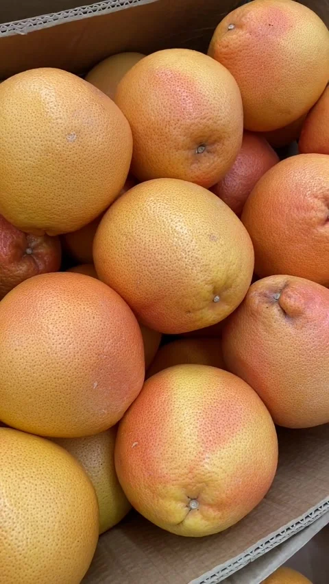 Highlighted Box Stock Videos – Royalty-Free HD & 4K Videos | Pond5