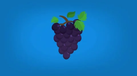 Grapes - Vector Graphics - Food Animati... | Stock Video | Pond5