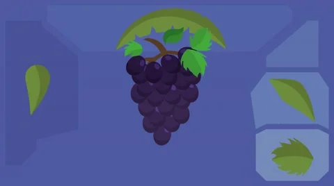Grapes - Vector Graphics - Food Animati... | Stock Video | Pond5