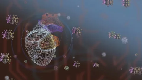 Model Graphics Stock Videos – Royalty-Free HD & 4K Videos