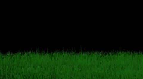 Grass Alpha Stock Footage ~ Royalty Free Stock Videos | Pond5
