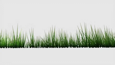 Grass Alpha Stock Footage ~ Royalty Free Stock Videos | Pond5