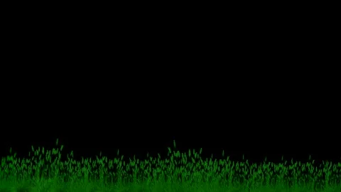 Grass field motion graphics with night b... | Stock Video | Pond5