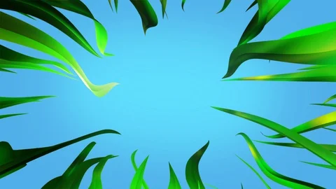 Growing Grass Animation Stock Footage ~ Royalty Free Stock Videos | Pond5