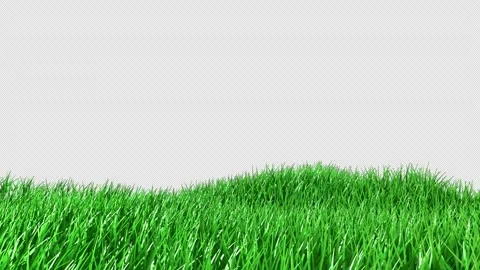 Grass Loop Stock Video Footage | Royalty Free Grass Loop Videos | Pond5