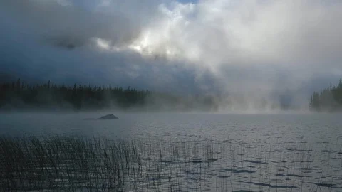 Grass Planted On The Wetland With Steam ... | Stock Video | Pond5