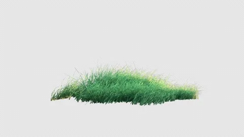 Blowing Grass Alpha Stock Footage ~ Royalty Free Stock Videos | Pond5