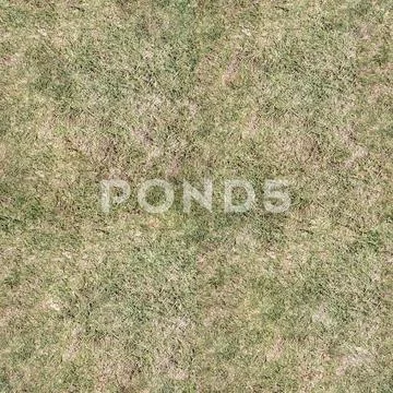 Grass Texture Seamless Material Map ~ Clip Art #125092127