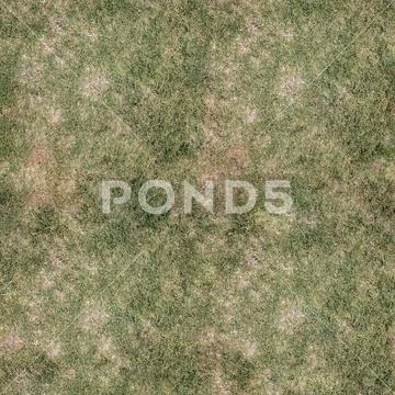 Grass Texture Seamless Material Map: Graphic #125092153