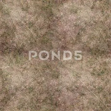 Grass Texture Seamless Material Map ~ Clip Art #125092303